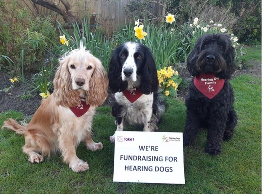 Take 1 Transcription is fundraising for Hearing Dogs For Deaf People