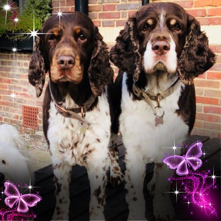 Sorcha Thomson is fundraising for Marie Curie