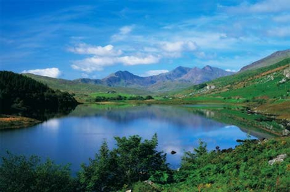 SAIMA RIAZ is fundraising for Human Appeal