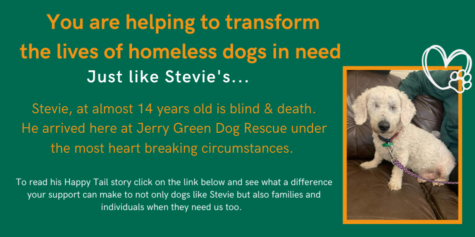 Sky Dive for Jerry Green Dog Rescue 2023 - JustGiving