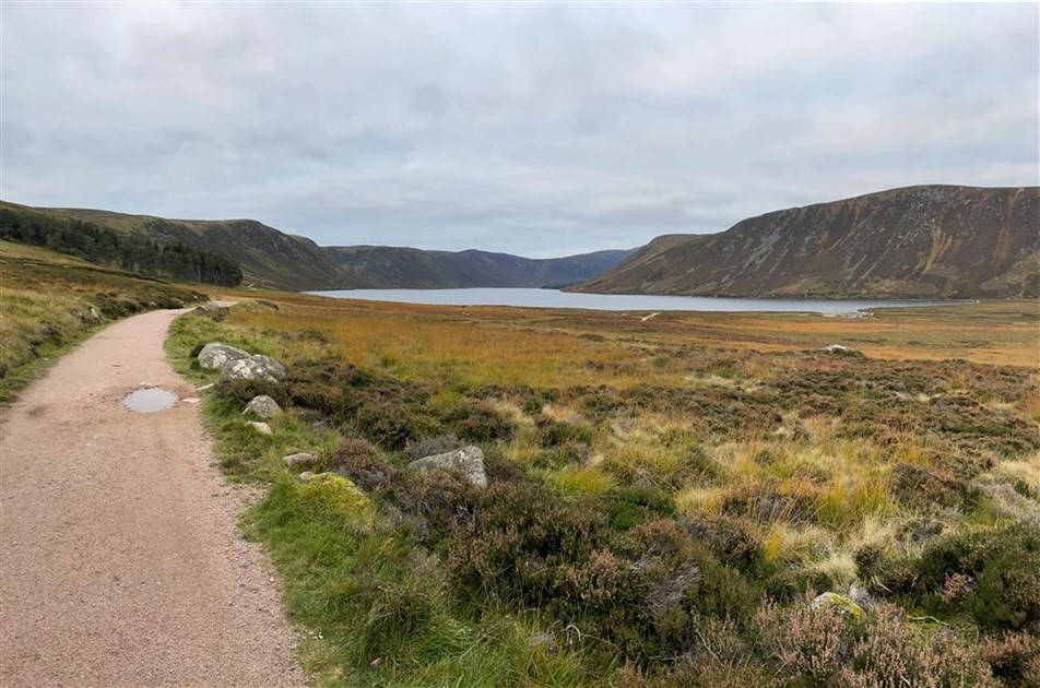 Sarah Rochester is fundraising for MND Scotland