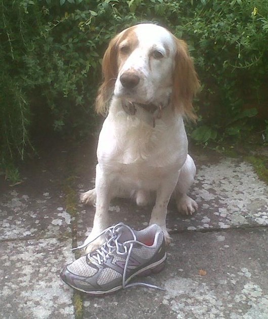 Sarah Hodgkinson is fundraising for The Eve Appeal