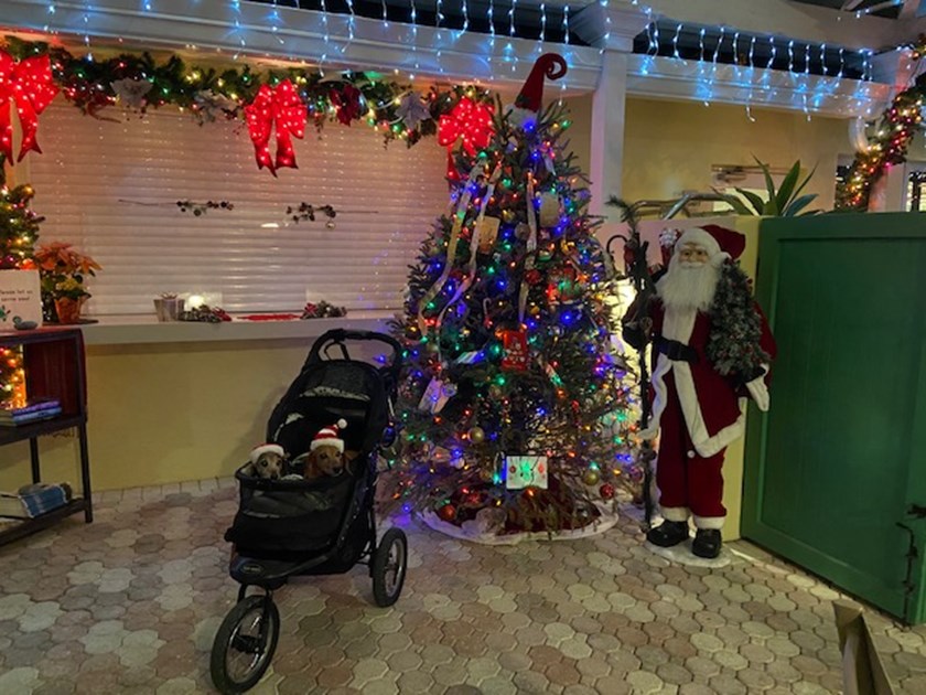 Annette, Bonnie, and Chester Corey is fundraising for Florida Keys ...