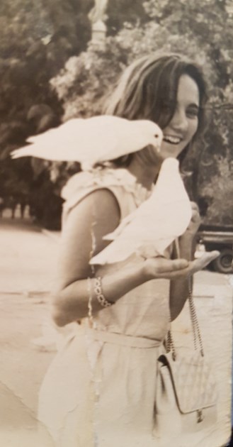 Pat Brolly is fundraising for CW+