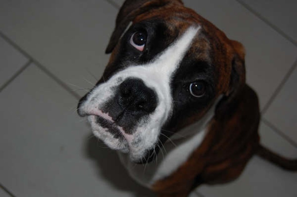 Audrey Philpott is fundraising for Breakthrough T1D