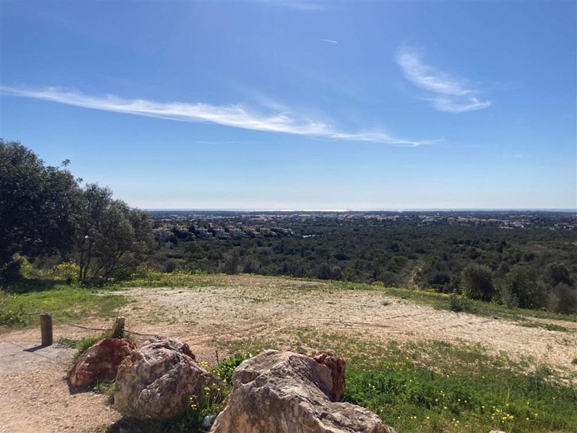 Angela Backhouse is fundraising for DISC Newquay