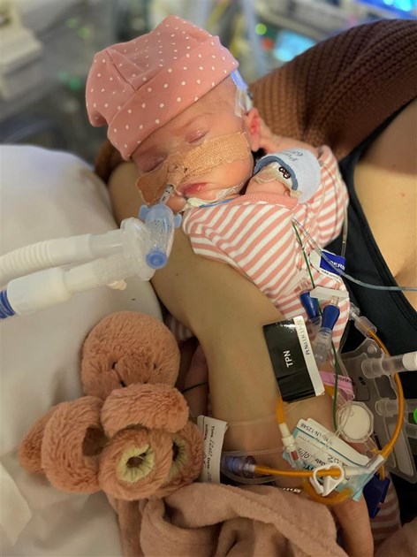 Lara Tripp is fundraising for The Lily Mae Foundation