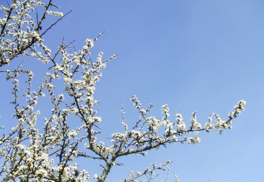 Vicky Hicks is fundraising for Luna’s Fund