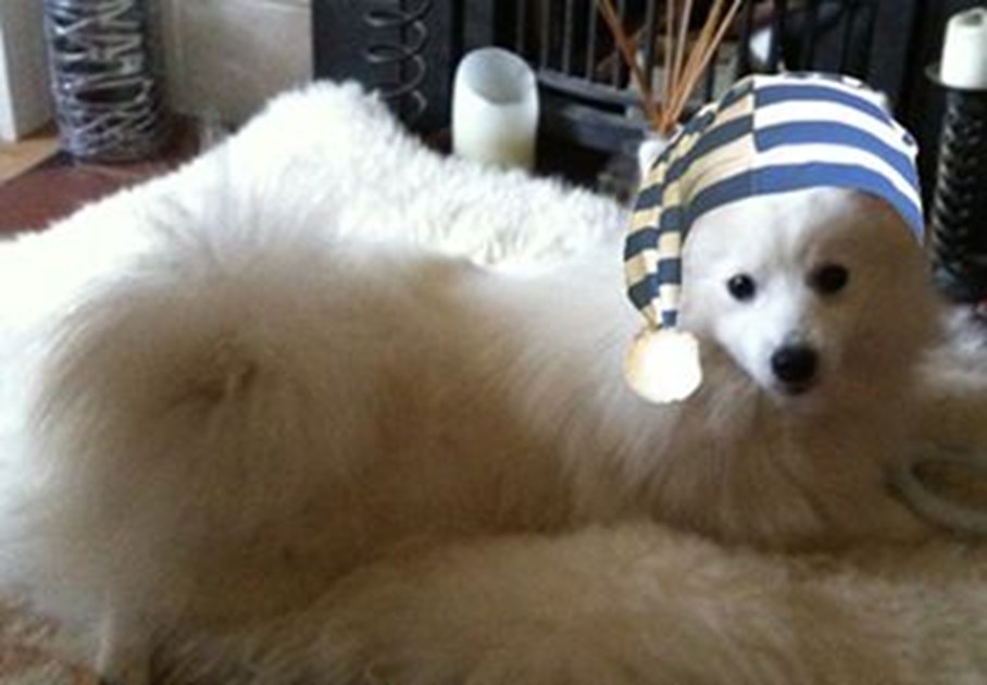 Sarah-Jane Hamlyn is fundraising for Action for Children