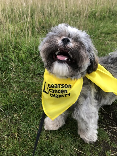 Louise Benson is fundraising for Beatson Cancer Charity
