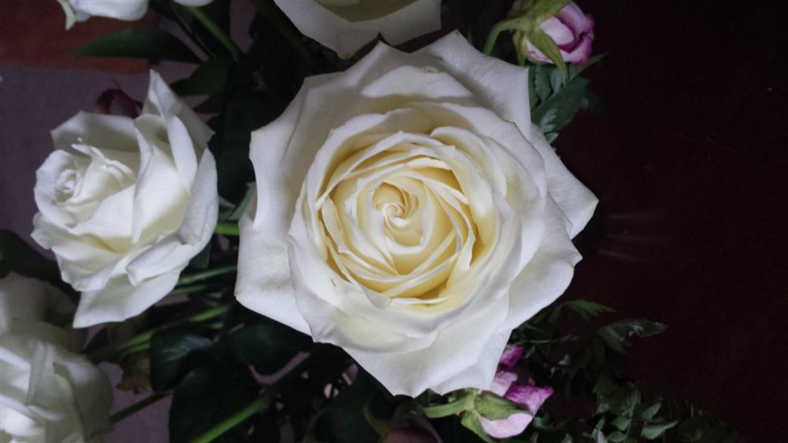 Kayleigh Gray is fundraising for When You Wish Upon A Star