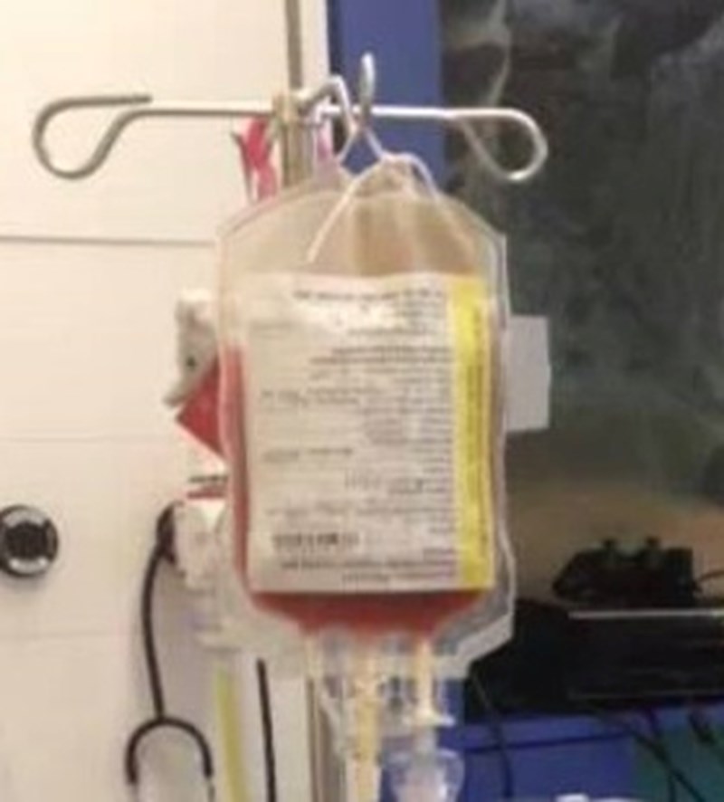 Zara Wright is fundraising for Anthony Nolan