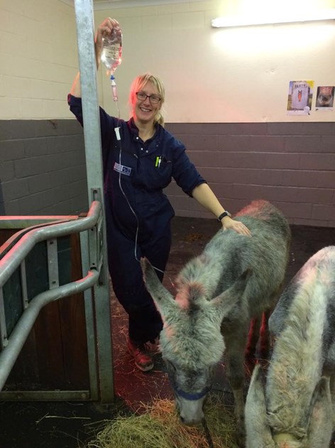 Imogen Burrows is fundraising for The Gambia Horse And Donkey Trust