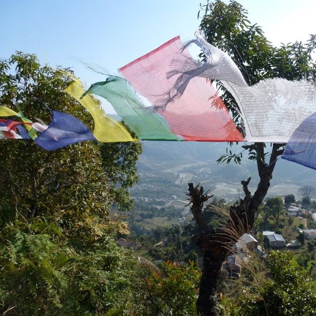 Lucy Maresh is fundraising for Disasters Emergency Committee