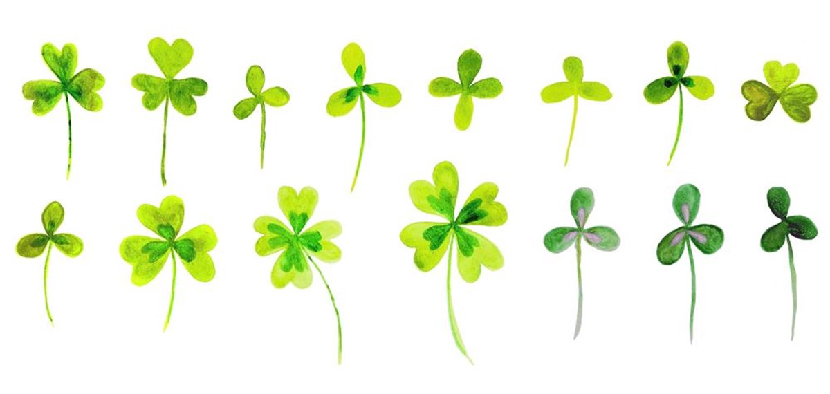 Steph Reader is fundraising for Motor Neurone Disease Association