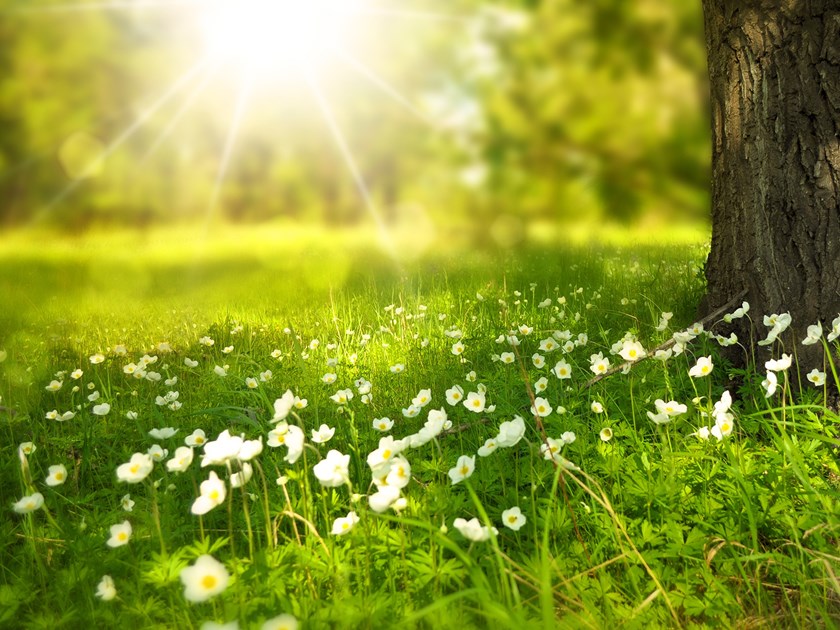 Hopian Formerly Rotherham Rise is fundraising for Hopian