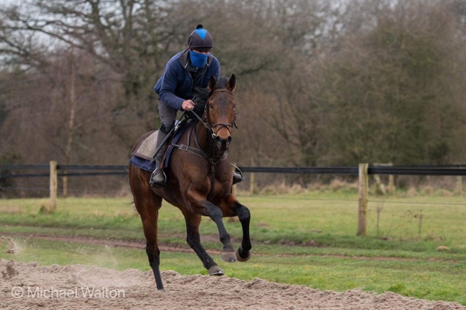 Colin Moore is fundraising for The Injured Jockeys Fund