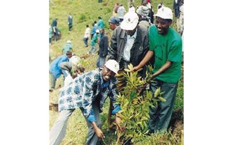 BirdLife International Team is fundraising for BirdLife International