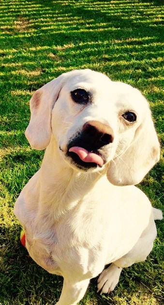 Andrea Tobin is fundraising for St Teresa's Hospice