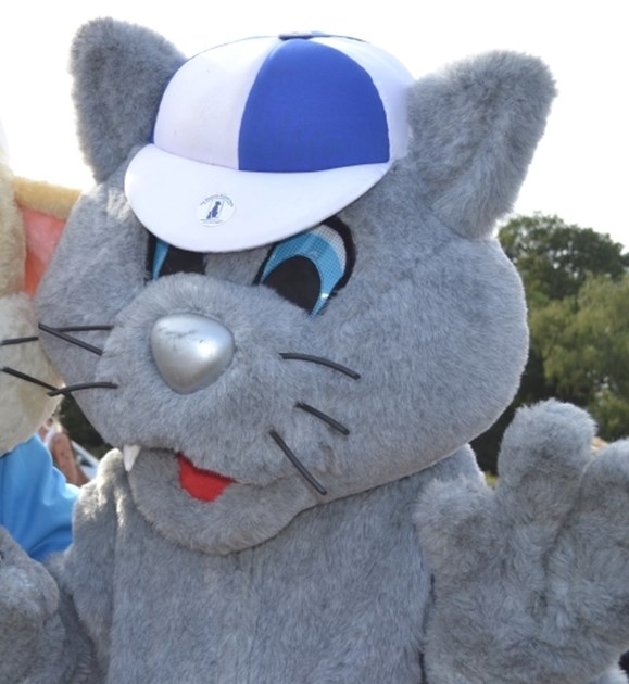 Community Dons is fundraising for The Mayhew Animal Home