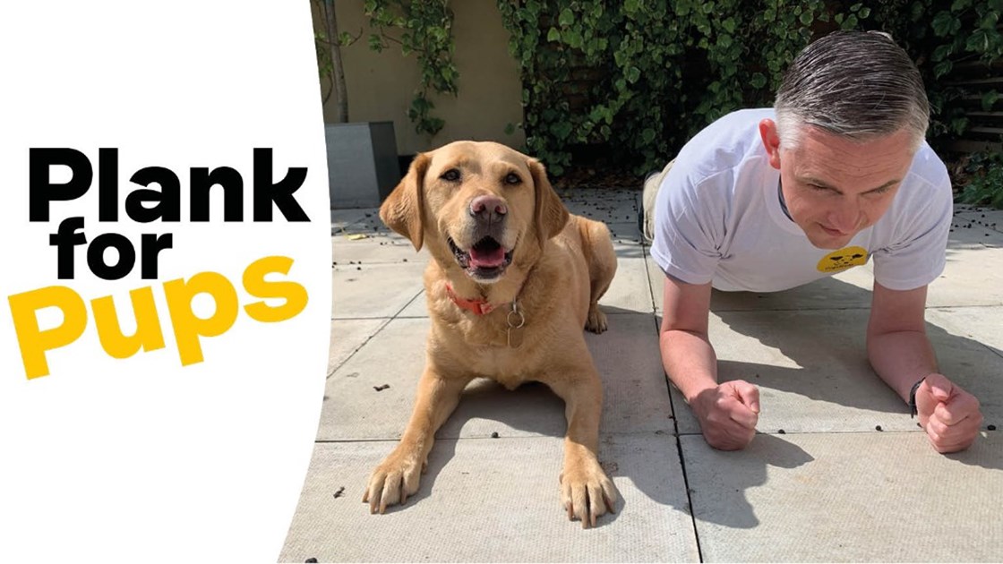 Abby Hobson is fundraising for Dogs Trust