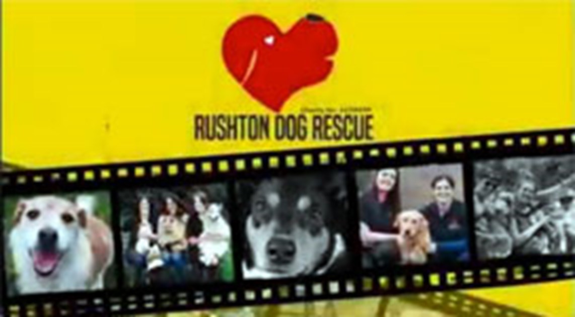 Miller Metcalfe is fundraising for Rushton Dog Rescue