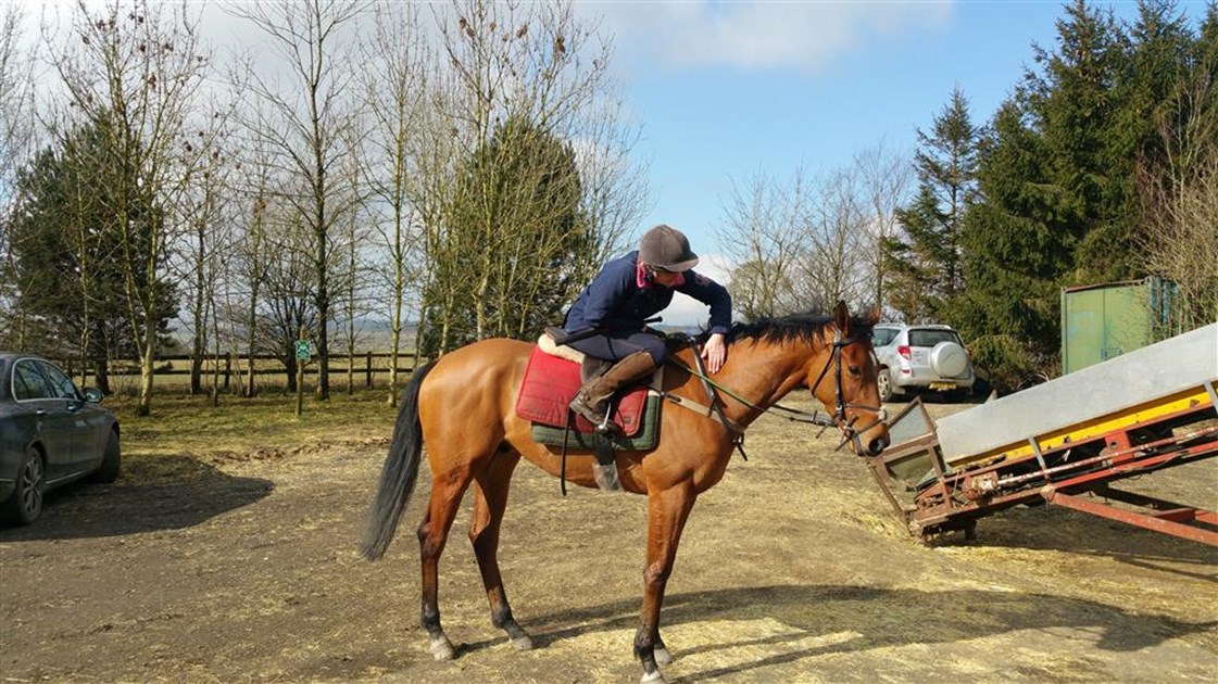 Sally Parry is fundraising for HEROS