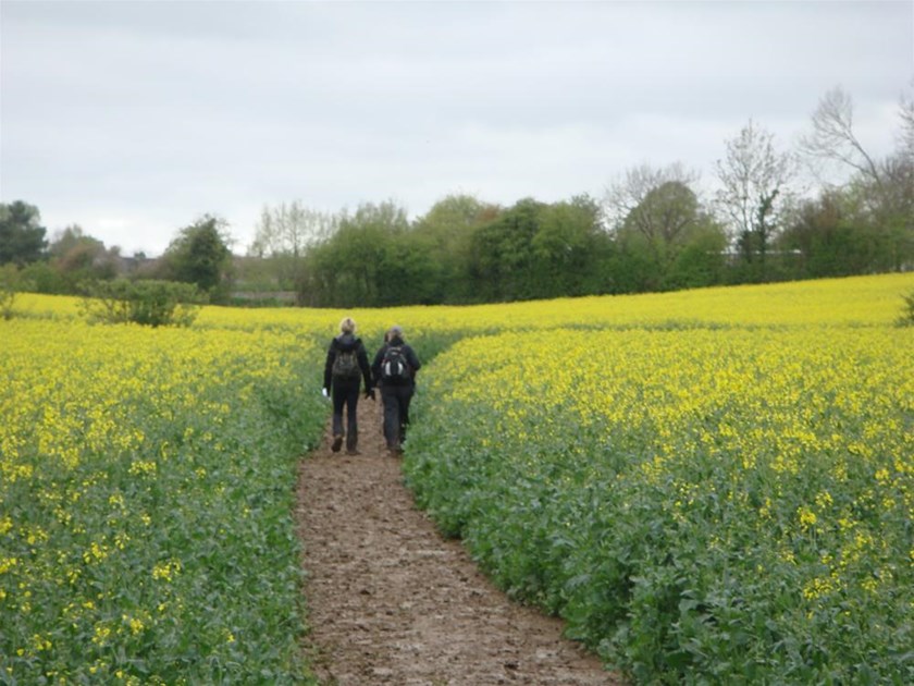 Tania Rotherwick is fundraising for ROSY Fund (part of the Oxford ...
