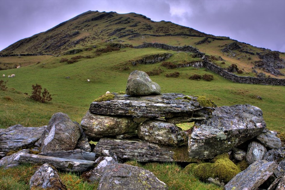 robert ledger is fundraising for Breakthrough T1D