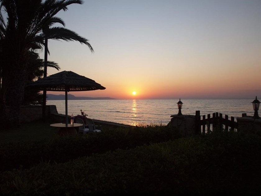 Esther Wilkinson is fundraising for Brain Tumour Research