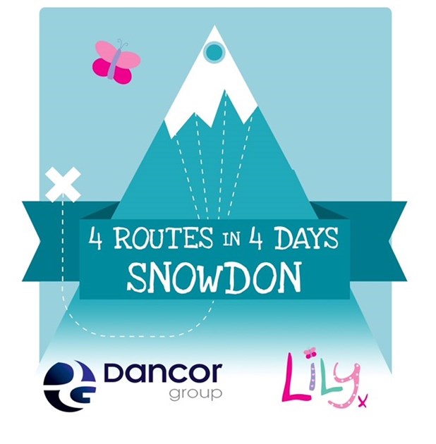 Dominic Goodale is fundraising for The Lily Foundation