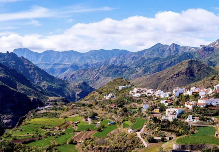 Annie Bridges is fundraising for British Heart Foundation