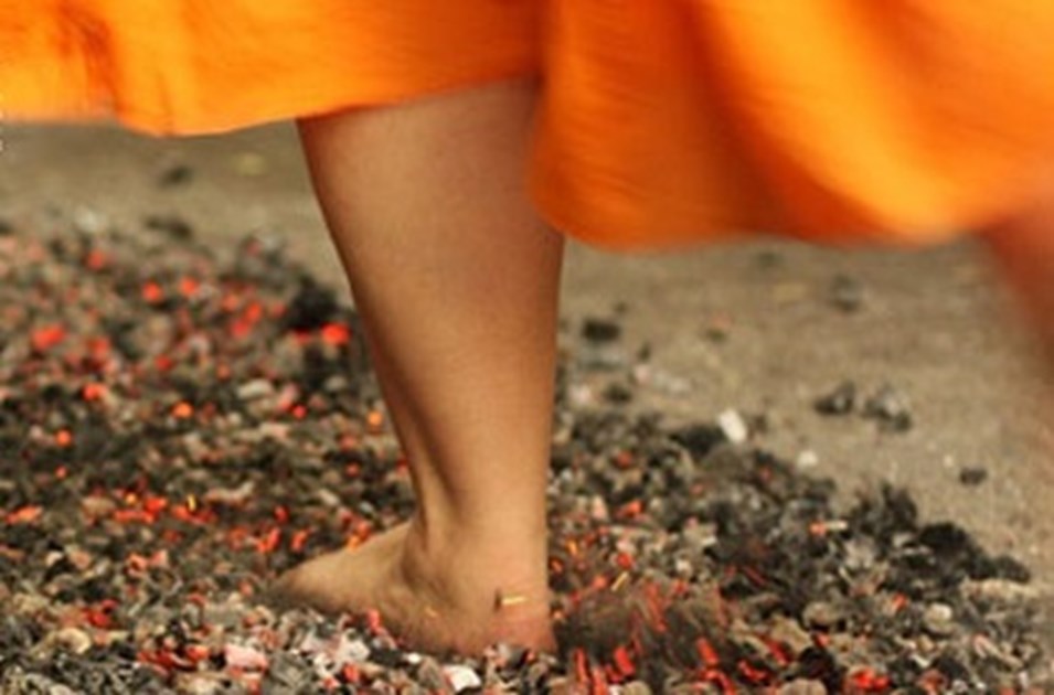 Elizabeth Quill is fundraising for Zoological Society Of London