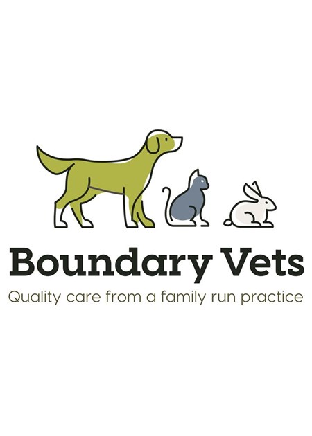Boundary Vets is fundraising for Cats Protection