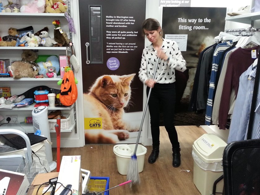 Cats Protection Erdington Shop is fundraising for Cats Protection