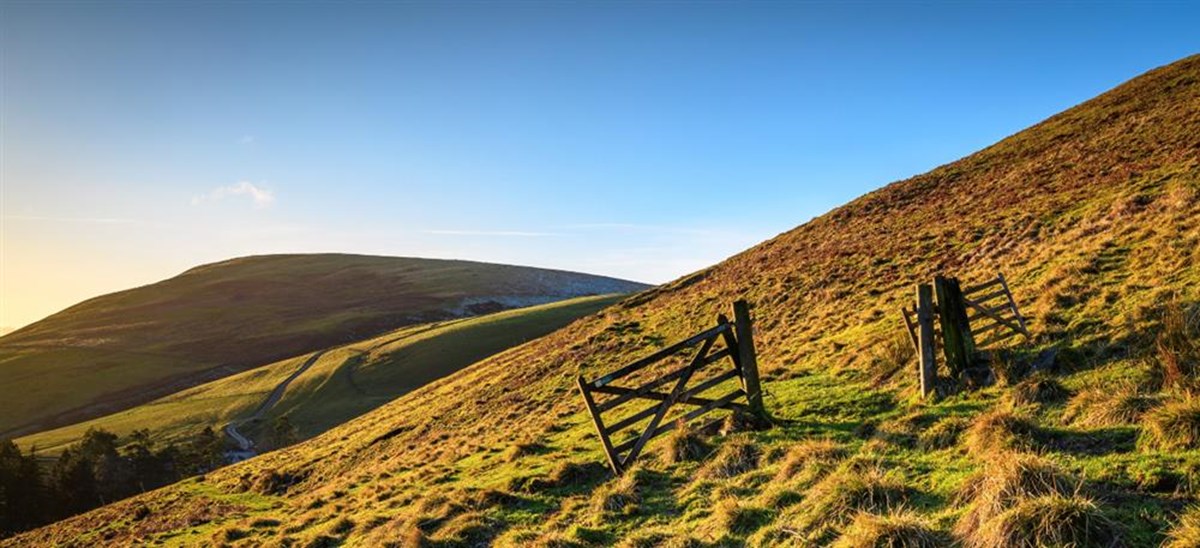 Katy Kent is fundraising for Somerset Wildlife Trust