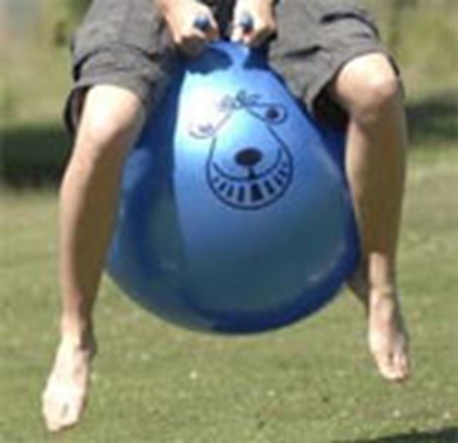 Leanne Atkins is fundraising for The Prince's Trust