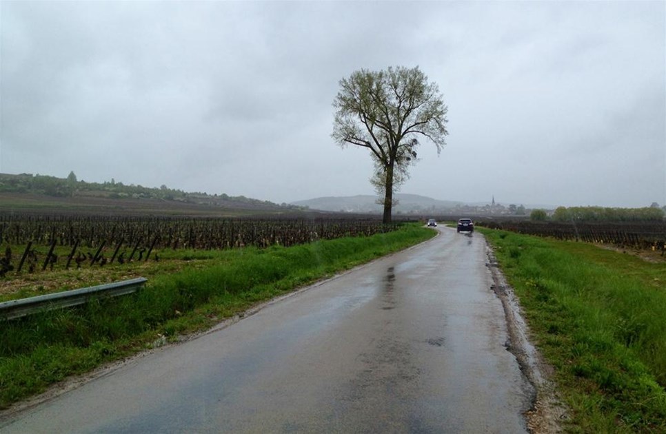 Robert Rolls is fundraising for The Vintners' Foundation