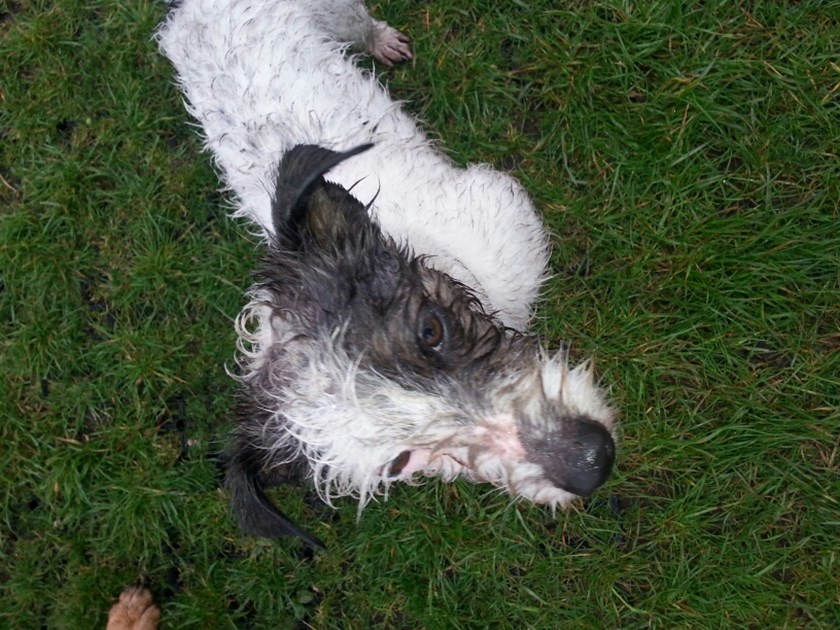 Christopher Appleyard is fundraising for Motor Neurone Disease Association