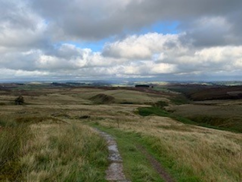 Philippa Marshall is fundraising for Embrace Child Victims of Crime