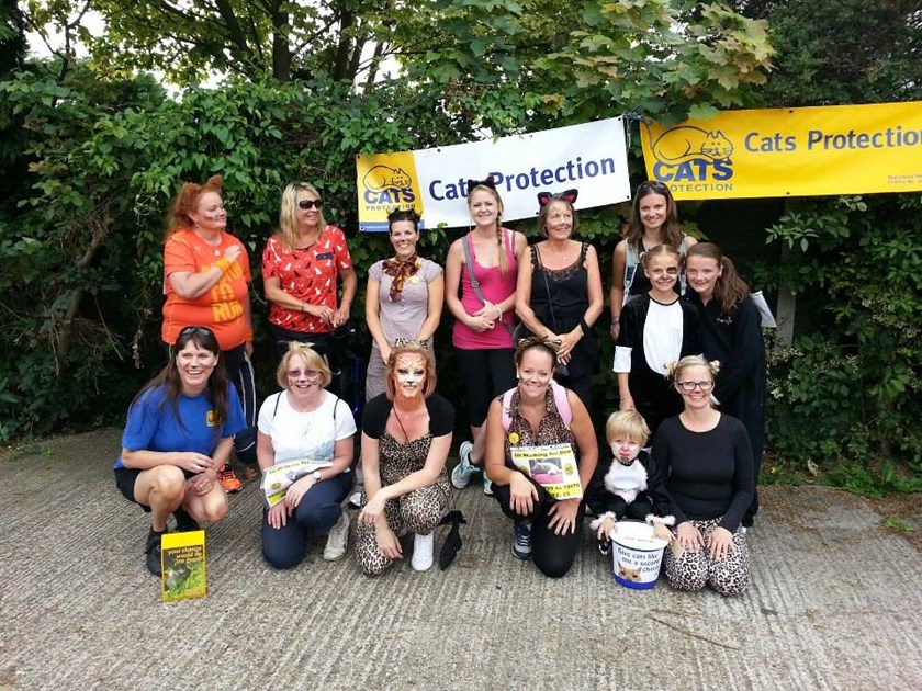 Rayleigh Cats Protection is fundraising for Cats Protection