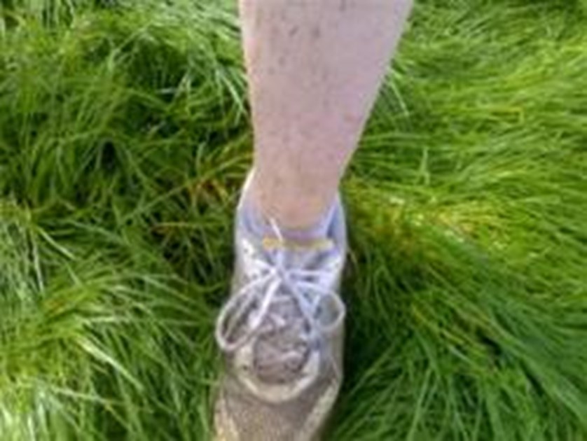 Suzanne Venables-Wood is fundraising for Cancer Research UK