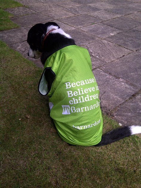 Felicity Newton is fundraising for Barnardo's