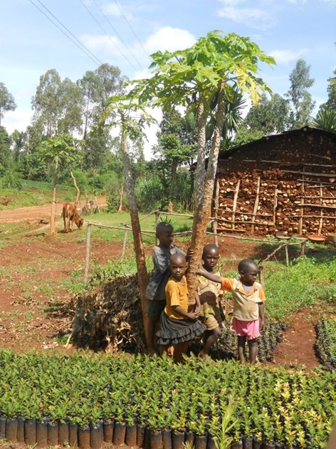 Versha Patel is fundraising for Voluntary Service Overseas