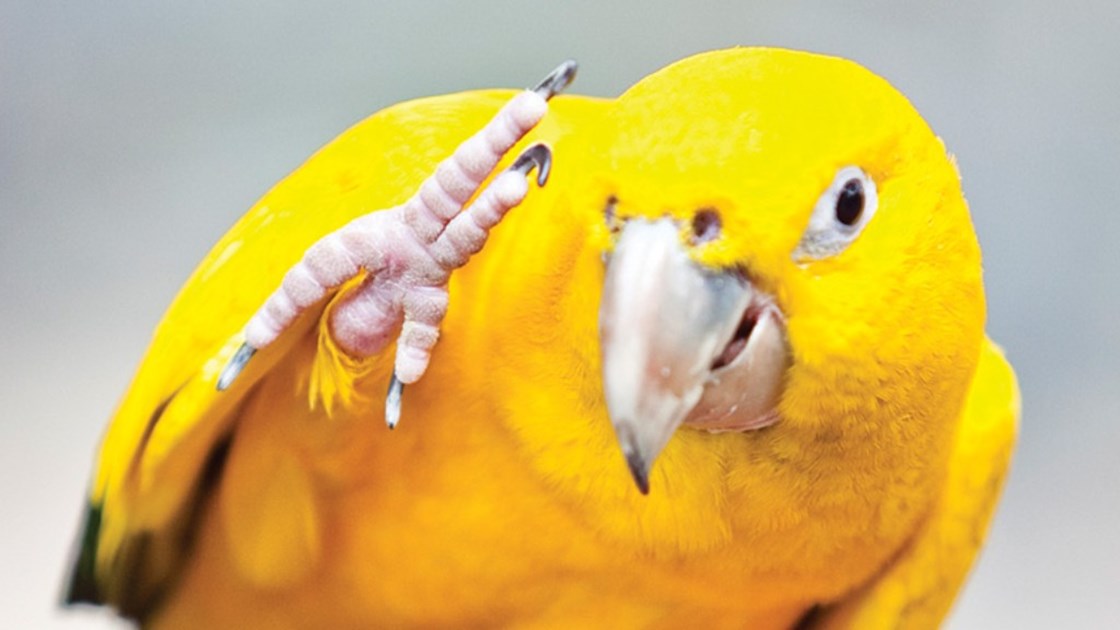 Jessica Halsey is fundraising for Friends Of The Rosamond Gifford Zoo ...