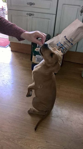 John Defty is fundraising for Mayflower Sanctuary