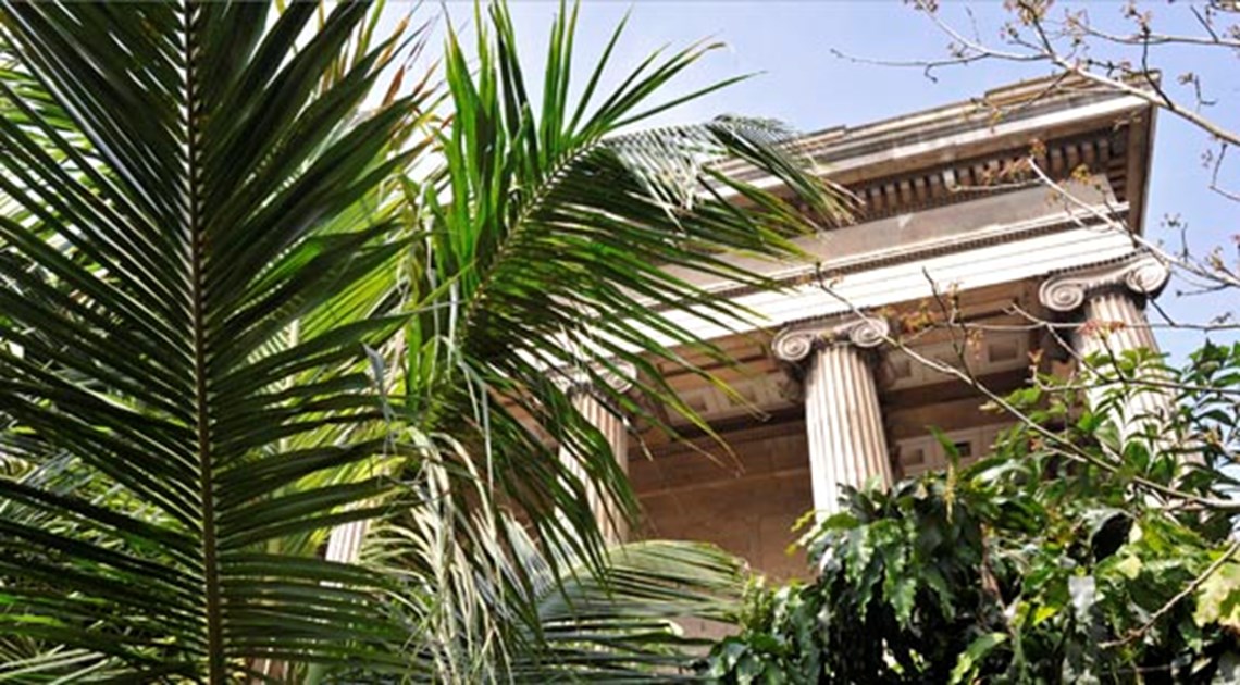 Chris Lazenby is fundraising for Trees for Cities