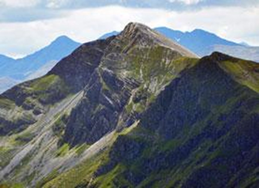 Emily Wright is fundraising for Cats Protection