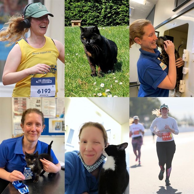 Jessica Hatcher is fundraising for Cats Protection