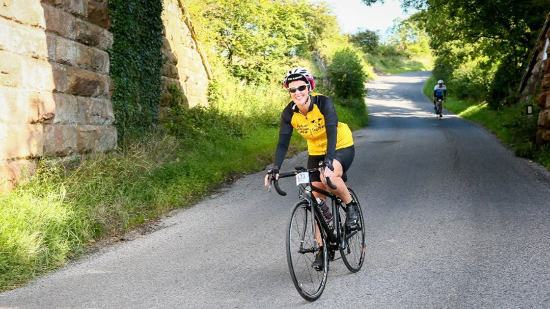 Kimi Kat is fundraising for Dogs Trust